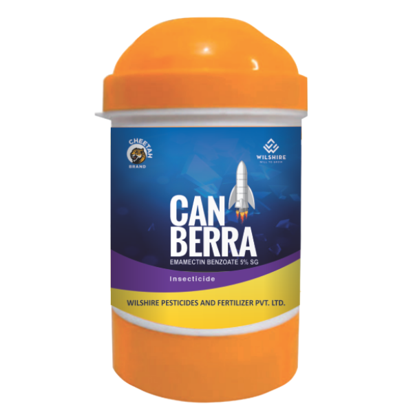 CAN BERRA - WILSHIRE